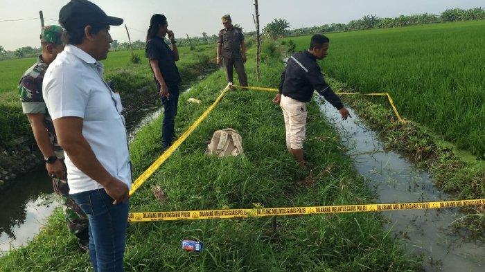 Jebakan Tikus Listrik di Lamongan Malah Senjata Makan Tuan, Pemuda ... Jebakan Tikus Listrik di Lamongan Malah Senjata Makan Tuan, Pemuda ...