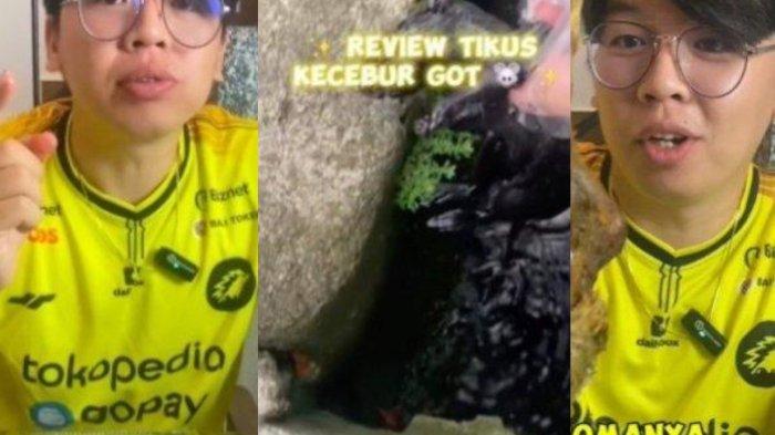 Viral Aksi TikToker Bandung Makan Tikus Got Goreng, Pernah Santap Hewan ...