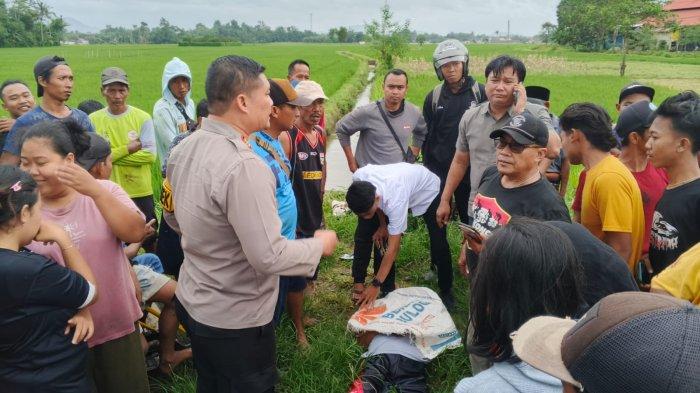 Warga Desa Jenggawah Jember Dikejutkan dengan Penemuan Kakek Tergeletak di Sawah, Tak Bernyawa ...