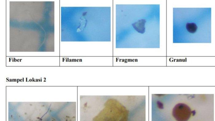 Ecoton Hasil Sampel Air di Pantai Gerangan Tulungagung, Pesisir Selatan ...