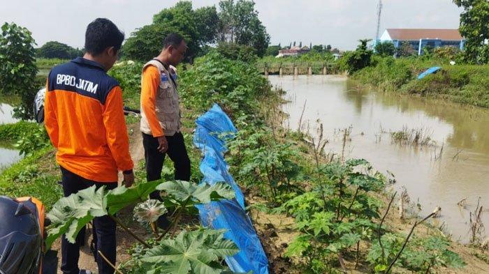 Dampak 3 Titik Tanggul Sungai Plalangan Longsor, Ribuan Hektare Lahan ...
