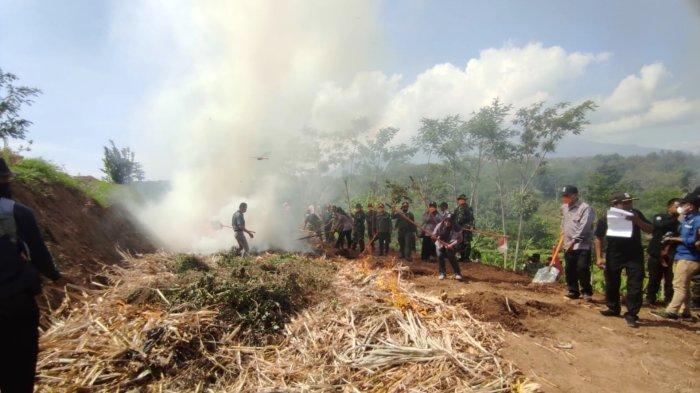 Cara BPBD Antisipasi Kebakaran Hutan Saat Puncak Musim Kemarau di Kabupaten Mojokerto ...