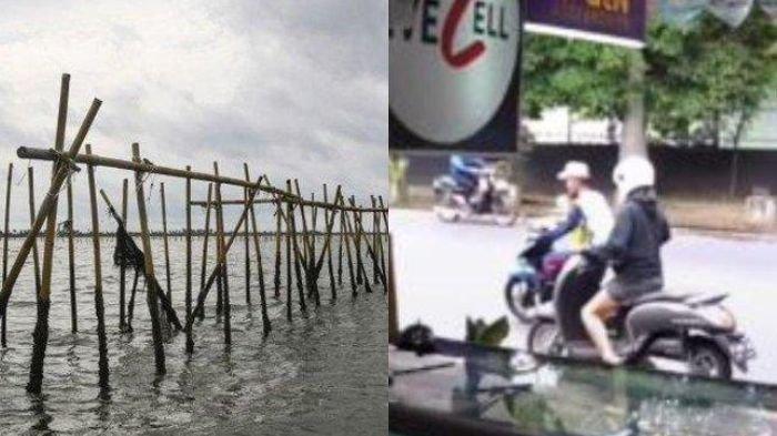 VIRAL TERPOPULER: Sosok Selebriti Diduga Pemilik Pagar Laut - Budak ...