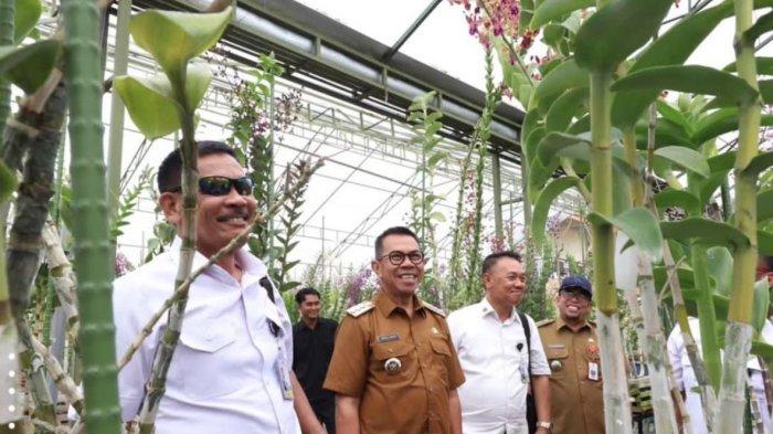 Diberi Nama 'Dendrobium Prabowo Subianto', Kota Batu Beri Hadiah Bunga ...