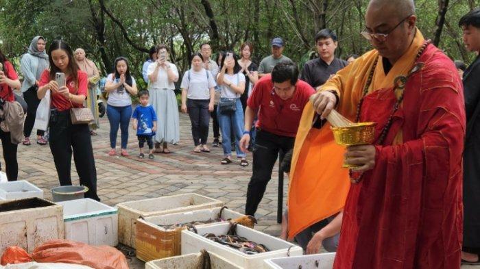 Lepas Ratusan Satwa di Mangrove, Young Buddhist Association Lestarikan ...