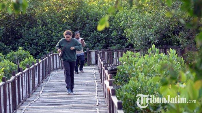Inilah 4 Manfaat Jogging Bagi Tubuh dan Waktu yang Tepat untuk ...