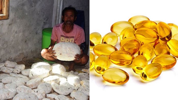 Muntahan Paus Digunakan untuk Parfum Mahal, 7 Kosmetik ini Juga Terbuat ...