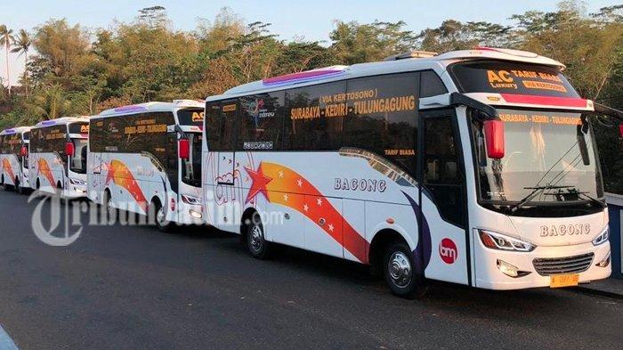 Bus Bagong Luncurkan Perjalanan Tuluangaung-Surabaya Cuma Tarif Rp 25 ...
