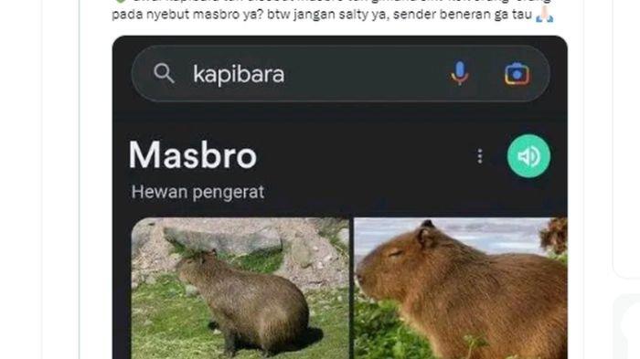 Arti Kata Mas Bro, Terkuak Alasan Netizen Kasih Julukan ke Kapibara ...