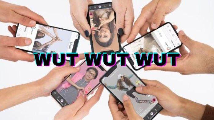 Arti Kata Wut Wut Wut dan Asal Usulnya, Bahasa Gaul untuk Konten Viral di TikTok - Tribunjatim.com