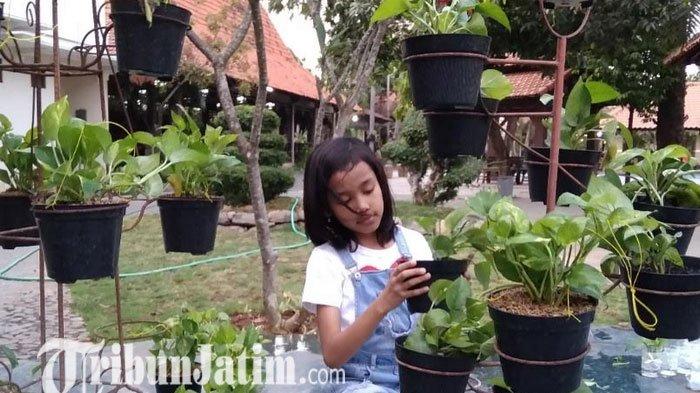 Finalis Putri Lingkungan Hidup 2019, Hijaukan Surabaya Dengan Sirih ...