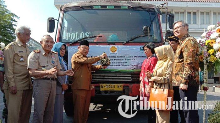 Jawa Timur Ekspor Pakan Ternak Capai 300 Ton ke Timor Leste, Dikirim Lewat Pelabuhan Tanjung ...
