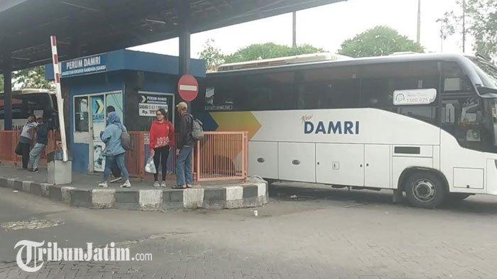 Bus Damri di Terminal Purabaya Berhenti Beroperasi Mulai 1 September ...