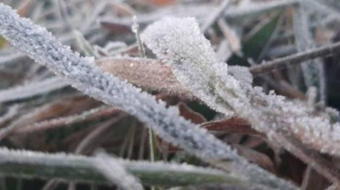 Fenomena Embun Es Kembali Muncul di Dieng saat Suhu Minus 1 Derajat ...