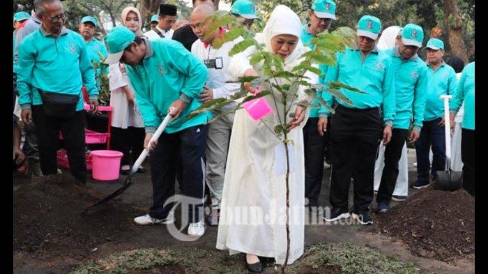1 Muharram, Gubernur Khofifah Tanam Pohon Matoa di Masjid Al Akbar, Simbol Persaudaraan Jatim ...