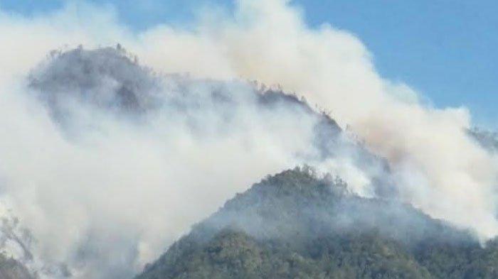 Gunung Ranti Banyuwangi Terkabar, 4 Pendaki yang Terjebak di Puncak ...