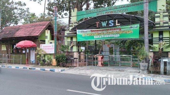 Khusus Besok, Tiket Masuk TWSL Probolinggo Gratis! Simak Syarat ...