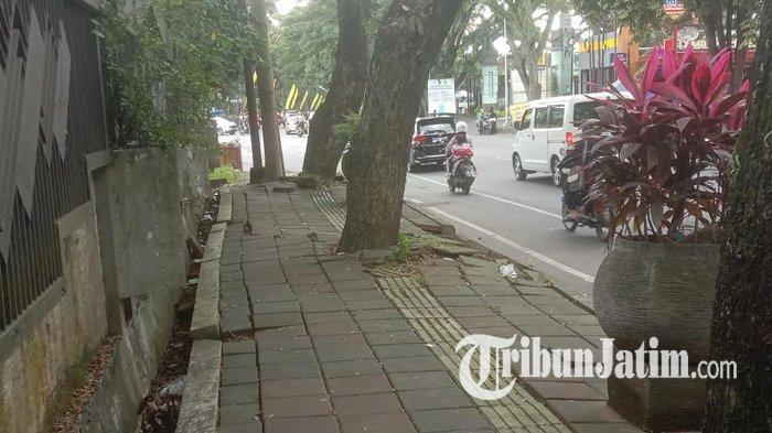 Membahayakan, Guiding Block di Kota Malang Mengarah ke Pohon dan ...