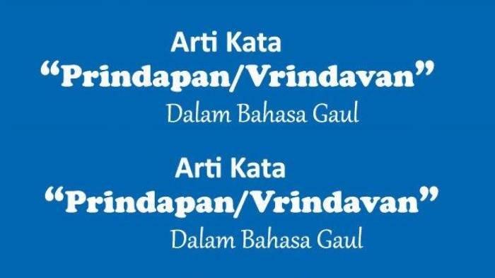 Arti Kata Vrindavan Atau Prindapan Dalam Bahasa Gaul Istilah Populer