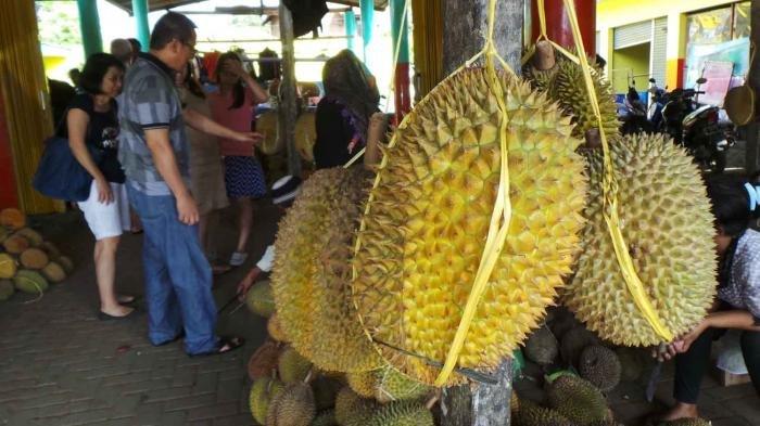 Memutus Mata Rantai Distribusi Tengkulak, Kampung Durian Pakis ...