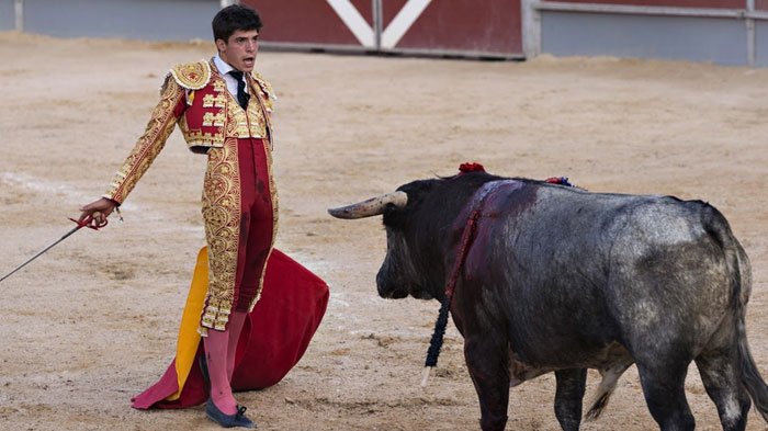 Kategorikan sebagai Kekerasan Ekstrem, PBB Larang Atraksi Matador ...