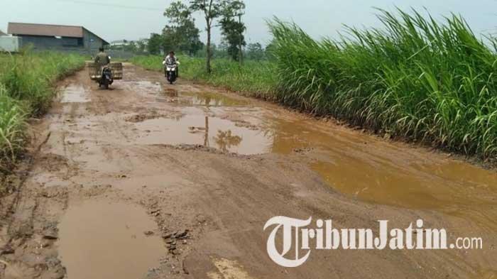 Jalan Rusak Bertahun-tahun di Singosari Malang Tak Kunjung Diperbaiki, Begini Tanggapan Sekda ...