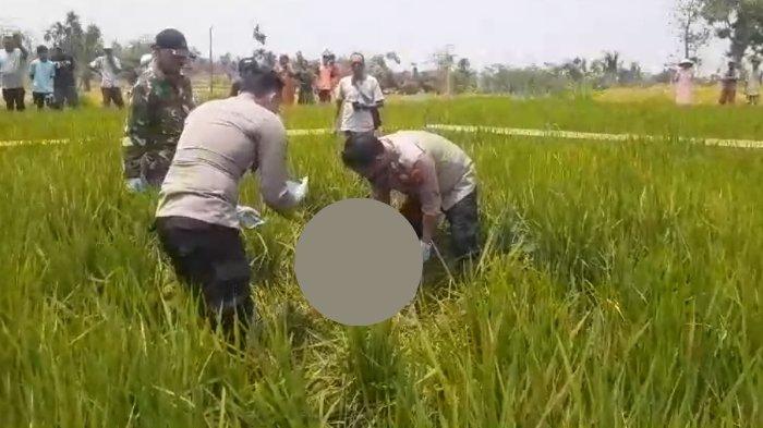 Petani Cabai Tewas di Persawahan Probolinggo, Alami 5 Luka Bacok, Polisi Temukan Balok Kayu dan ...