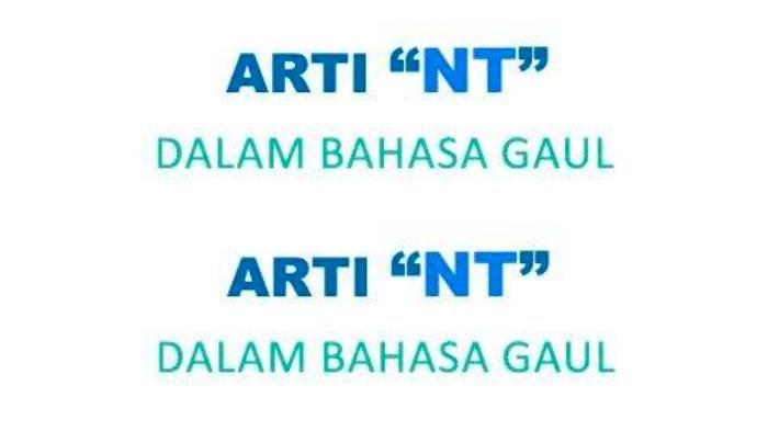 Apa Itu Arti Kata NT dalam Bahasa Gaul Kekinian? Ternyata Punya 2 Makna, Bukan Hanya Nice Try ...