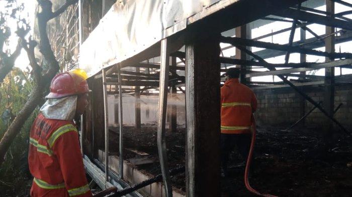 Puhuhan Ribu Ekor Ayam Mati Terpanggang, Kandang di Tuban Dilanda Kebakaran Besar - Tribunjatim.com