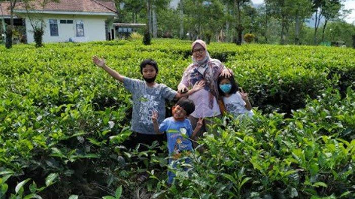 Kebun Teh Wonosari Lawang Sabet 'The Most Valuable Sellers Batch 2 ...