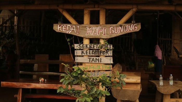 Menikmati Kesegaran Kopi Yellow Caturra yang Tak Ada Duanya di Kedai ...