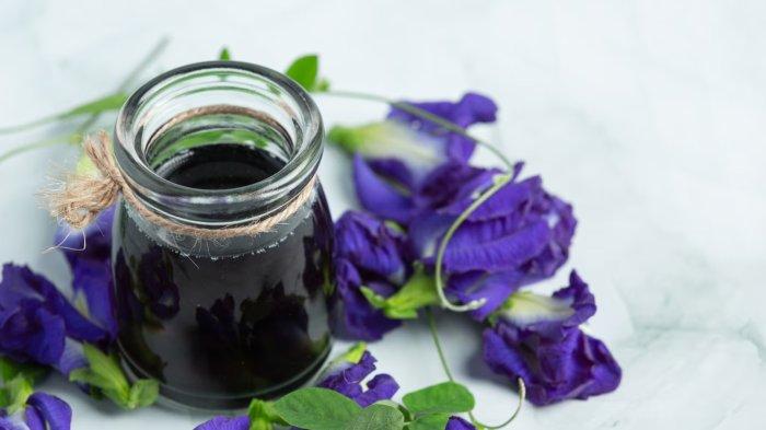 7 Khasiat Bunga Telang Bisa Turunkan Berat Badan, Perlu Diolah Baik ...