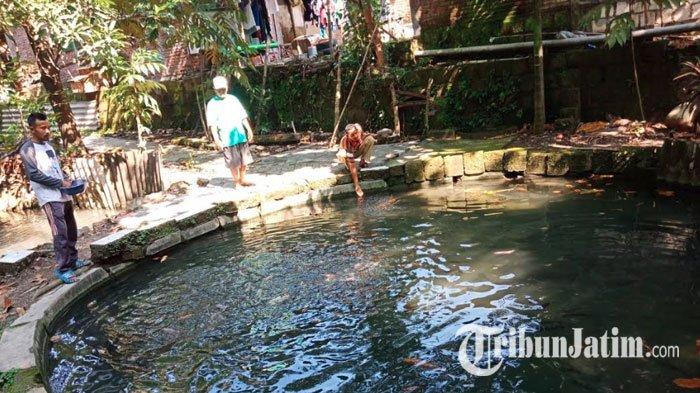Unik, Suradi Asal Kampung Sumberan Surabaya Manfaatkan Lahan 2009 m2 ...