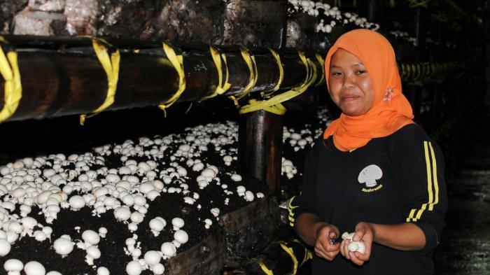Pandemi Corona Bukan Kendala, PT Eka Timur Raya Sukses Ekspor Jamur 20 ...