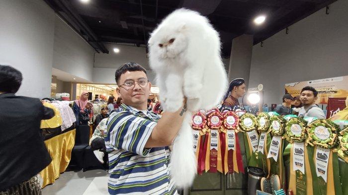 Ras Kucing dari Belahan Dunia Tampil dalam Kontes Kucing Internasional ...