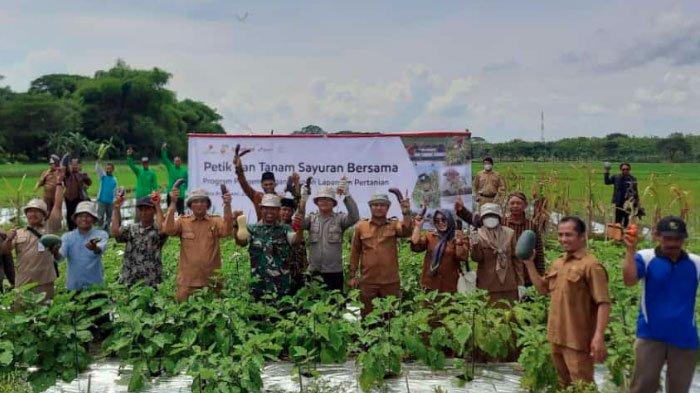 150 Petani Bojonegoro Ramaikan Lokakarya Petani Berkisah, Program Sekolah Lapangan Pertanian ...