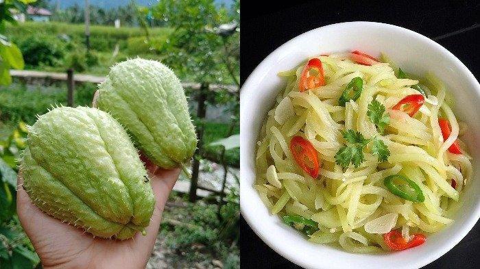 10 Manfaat Labu Siam yang Cocok Dijadikan Menu Diet, Jaga Kesehatan ...