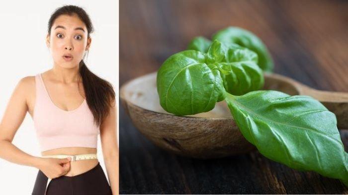 Resep Menu Diet Kemangi, Minuman Bikin Kenyang Tahan Lama, Cara Alami ...