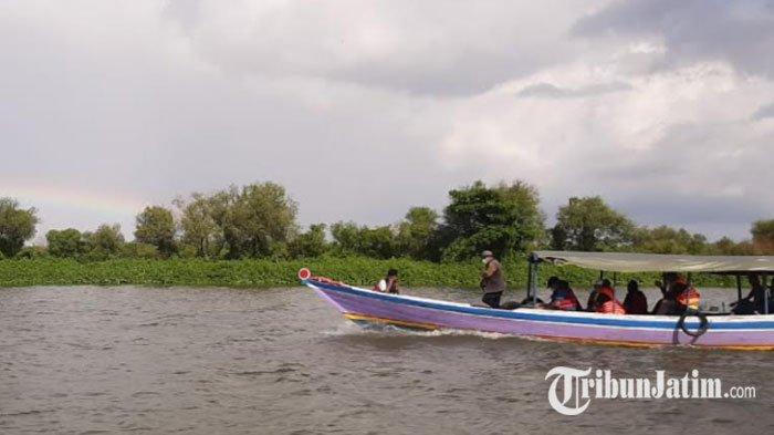 Sensasi Menangkap Ikan Bandeng dan Susur Sungai Muara Bengawan Solo di ...