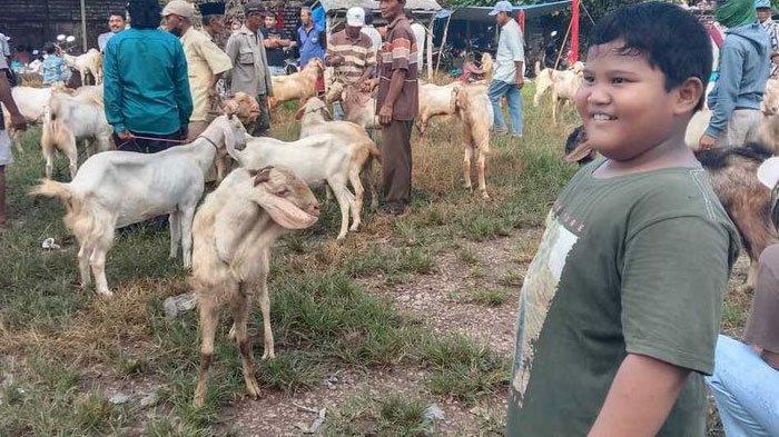 Nabung Rp5 Ribu Tiap Hari, Bocah SD Berhasil Kurban Kambing dari Uang Sendiri Jadi Sorotan ...