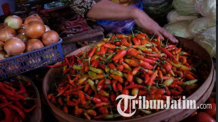 Cara Menyimpan Cabai yang Benar Agar Tahan Lama 2-3 Bulan & Tak Cepat ...
