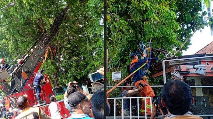 Penerjun Paramotor Tersangkut di Pohon, Ternyata Sempat Atraksi di ...