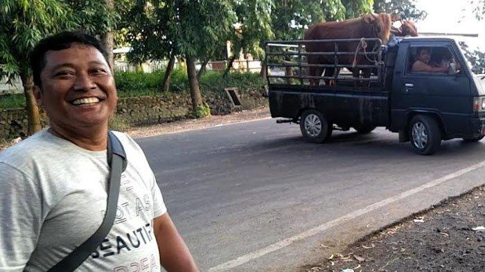 Senangnya Jasa Pengiriman Hewan Kurban di Bangkalang Bisa Raup Rejeki ...