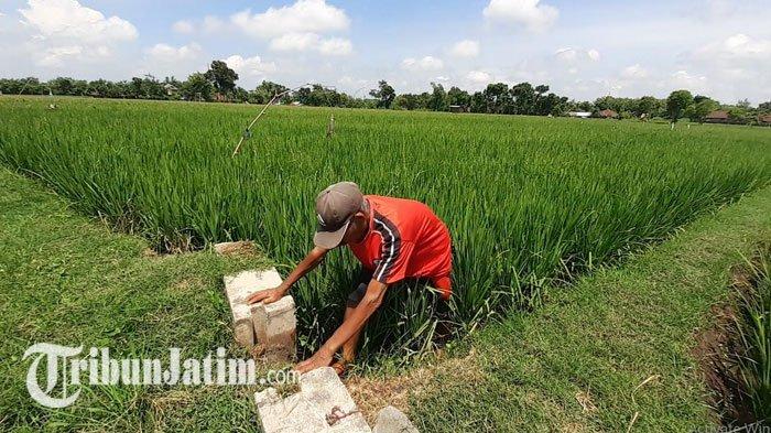 Dampak Program RJIT dari Kementan Dirasakan Masyarakat, Begini Harapan ...
