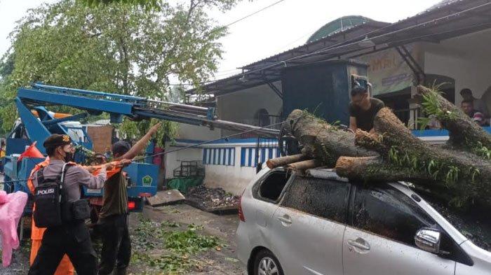 9 Pohon Tumbang hingga Timpa Mobil Parkir di Kota Malang usai Diterjang Hujan Angin ...