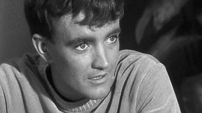 Profil-Biodata Robert Walker Jr, Aktor Film Hollywood Star Trek ...