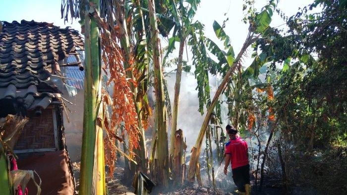 Rumah di Situbondo Nyaris Ludes Dilalap Api, Warga Padamkan Pakai Alat Seadanya, Gegara Bakar ...
