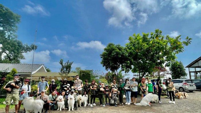 Serunya Outing Gathering Komunitas Samoyed Social Club dan Dog Lovers ...