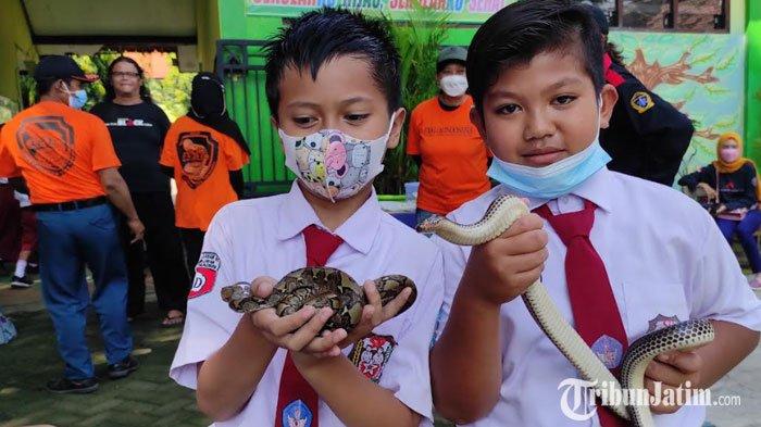 Jangan Dibunuh, Exalos Madiun Beri Edukasi Siswa SD Pentingnya Ular ...
