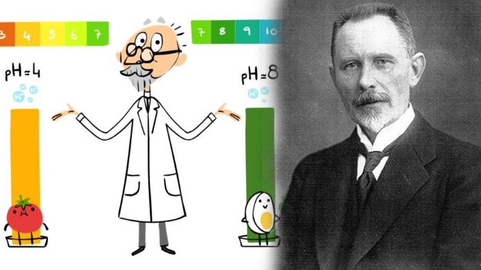 Mengenal S.P.L. Sørensen, Kimiawan dan Anak Pertani yang Jadi Google ...